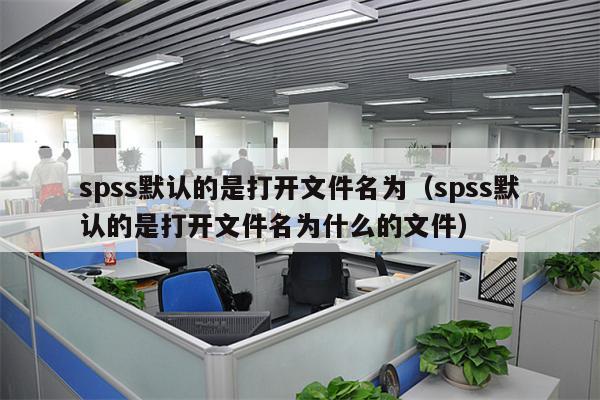 Spss默认的是打开文件名为(spss默认的是打开文件名为什么的文件) 卓智网络工作室