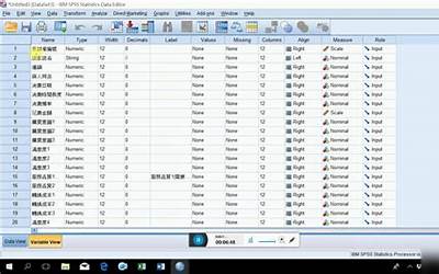 怎么用excel做spss分析（excel怎么进行spss分析） - 卓智网络工作室